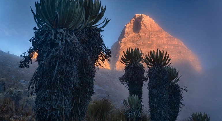 Bogota Day Trip: Snow at the Tropic - Bogota | FREETOUR.com