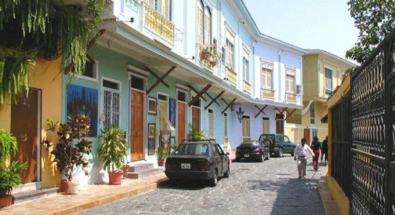 Puerto Santa Ana Tour a Pie - Guayaquil | FREETOUR.com