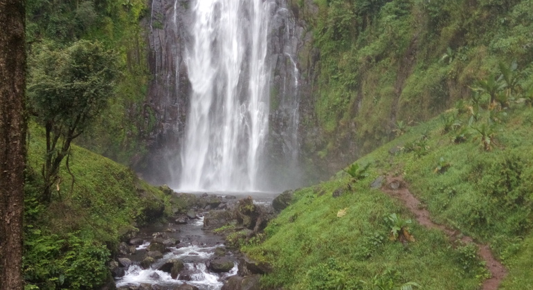 Tour culturale del Kilimangiaro - Cascata di Marangu - Kilimangiaro ...