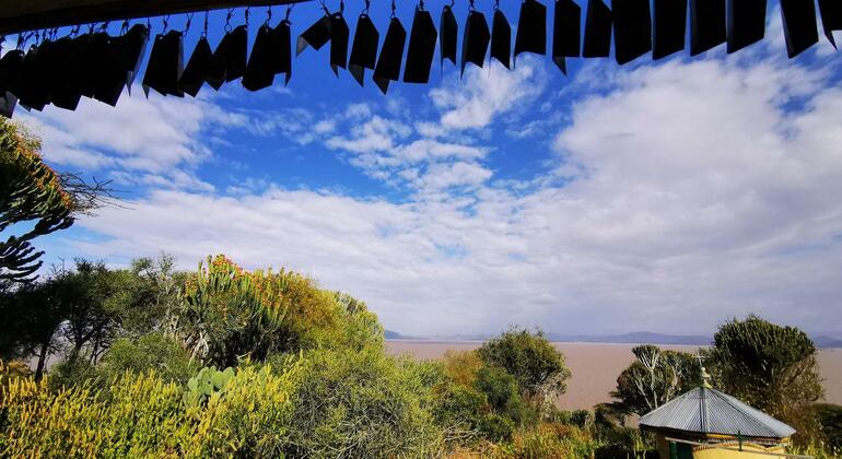 Excursão de um dia ao Lago Ziway - Addis Ababa | FREETOUR.com