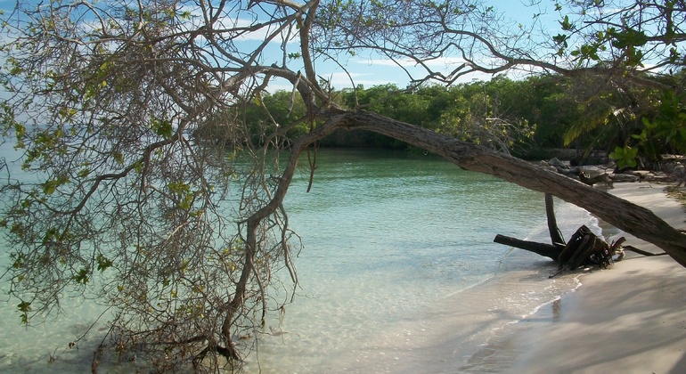 Small Group Day Tour: The South of Baru Island Nature and Culture ...