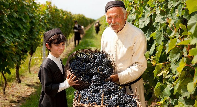 Visite privée des vignobles de la région de Mtskheta - Tbilisi ...
