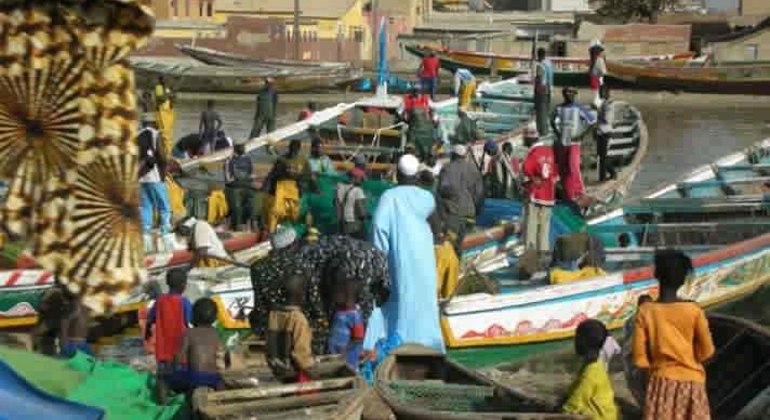 Explorer le port de pêche de Kayar et le lac rose - Dakar | FREETOUR.com