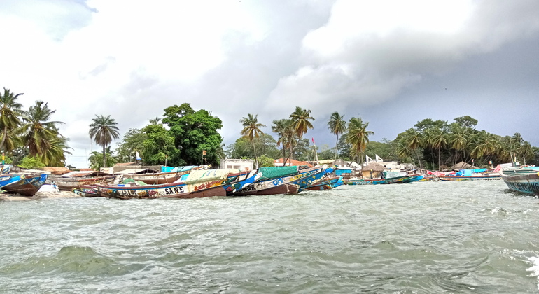 Explorer le port de pêche de Kayar et le lac rose - Dakar | FREETOUR.com