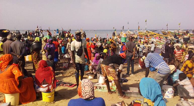 Explorer le port de pêche de Kayar et le lac rose - Dakar | FREETOUR.com