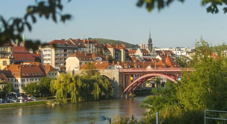 Private Tour to Maribor, Ptuj & Štajerska Wine Region from Ljubljana ...