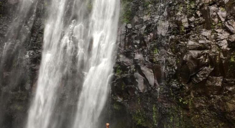 Materuni Waterfalls & Cofee Tour with Moshi Town - Kilimanjaro ...