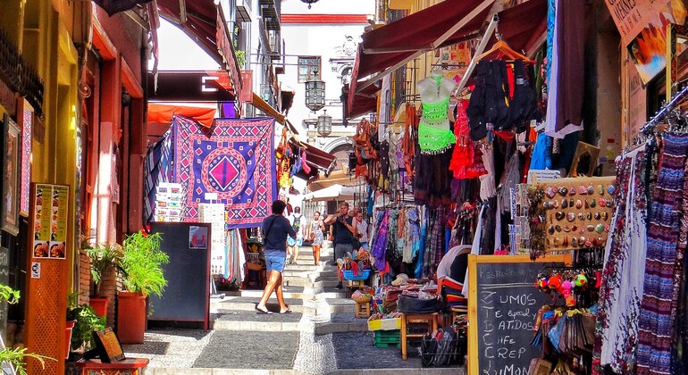 Visita guiada à descoberta de Granada - Granada | FREETOUR.com