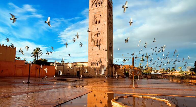 Discover the Red City of Marrakech Tour - Marrakech | FREETOUR.com