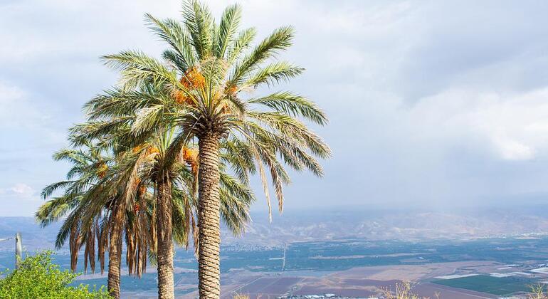 The Old City of Beer Sheva City Tour - Negev | FREETOUR.com
