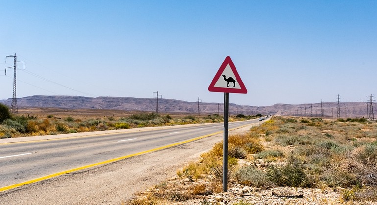 The Old City of Beer Sheva City Tour - Negev | FREETOUR.com