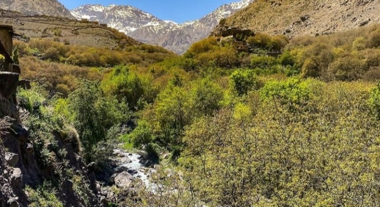 Viagem de um dia às montanhas do Atlas e ao deserto de Agafay - Atlas ...