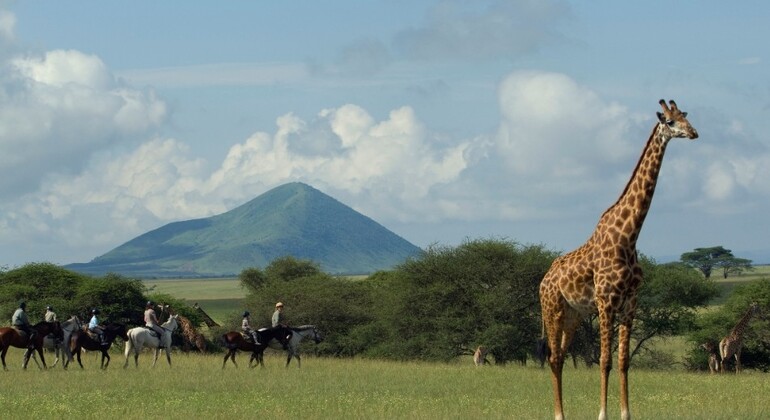 Authentic & Fun Tour around Kenya - Nairobi | FREETOUR.com