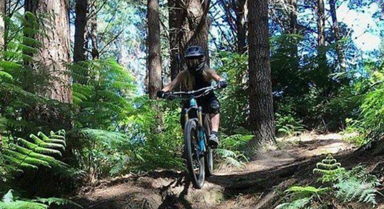 Nature Trail Bike Ride at Karura Forest - Nairobi | FREETOUR.com