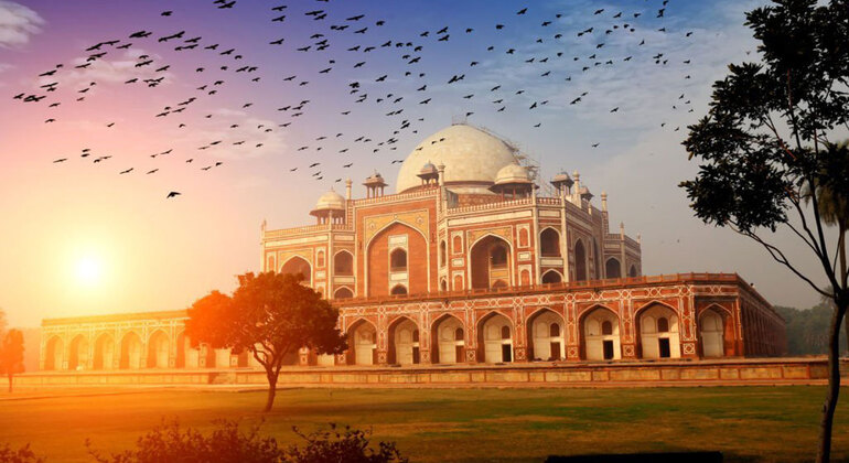 Tour de día Completo en Delhi - Nueva Delhi | FREETOUR.com