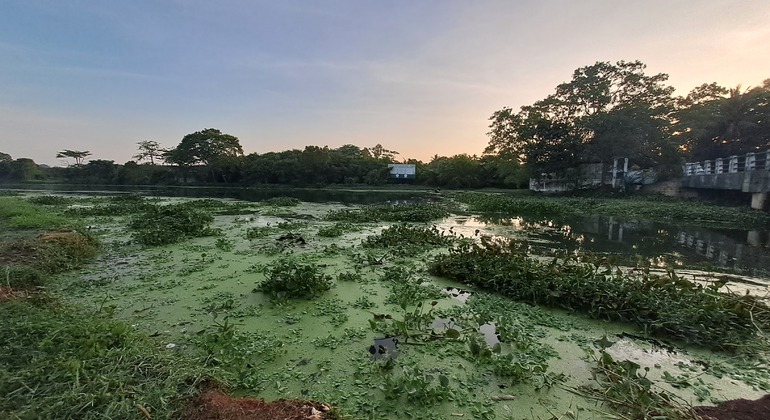 Nature Walk in Suburbs of Colombo - Colombo | FREETOUR.com