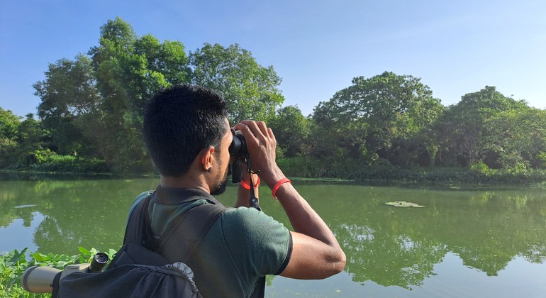 Paseo por la naturaleza en un humedal urbano de Colombo - Colombo ...