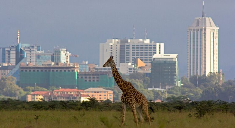 Nairobi City Free Tour - Nairobi | FREETOUR.com