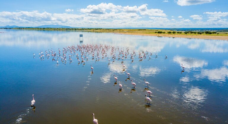 A Motorcycle Tour to Lake Magadi - Nairobi | FREETOUR.com