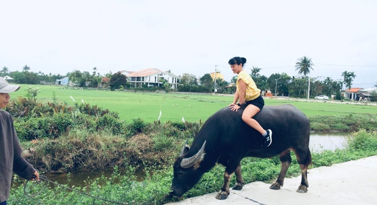 Private Tour - Water Buffalo Riding in Hoi An - Hoi An | FREETOUR.com
