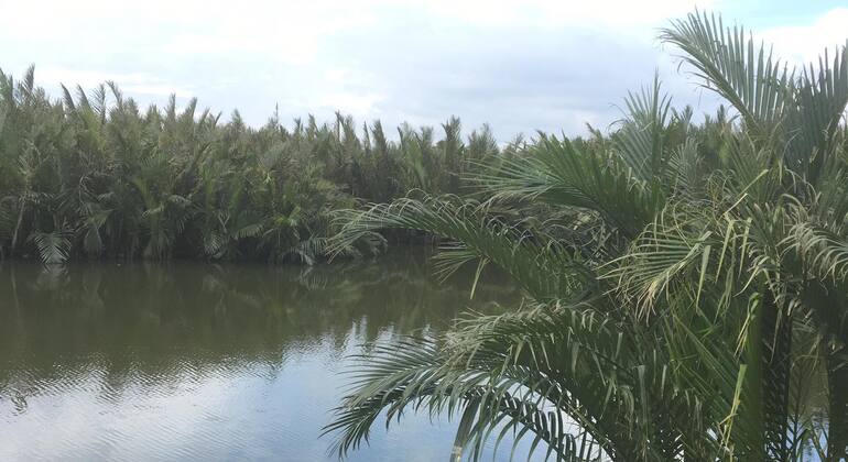 Private Tour - Water Buffalo Riding in Hoi An - Hoi An | FREETOUR.com