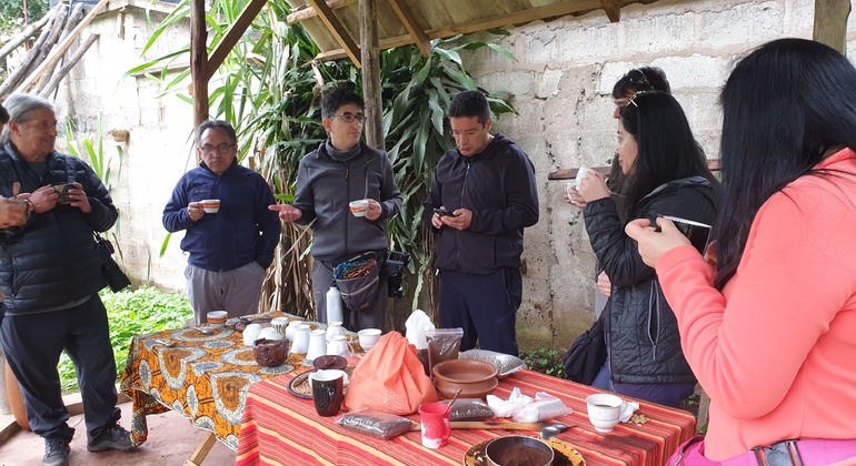 Coffee Tour in Arusha with Lunch - Arusha | FREETOUR.com