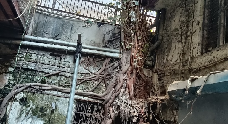 Old Delhi - Explore the Beauty - Delhi | FREETOUR.com