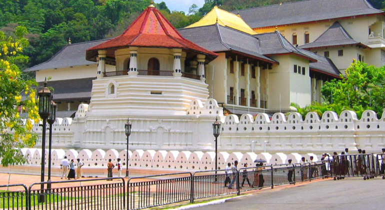 Private Kandy Day Tour in Sri Lanka - Kandy | FREETOUR.com